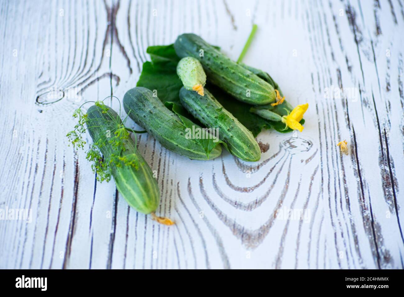 fresh natural green cucumbers on a wooden Stock Photo - Alamy