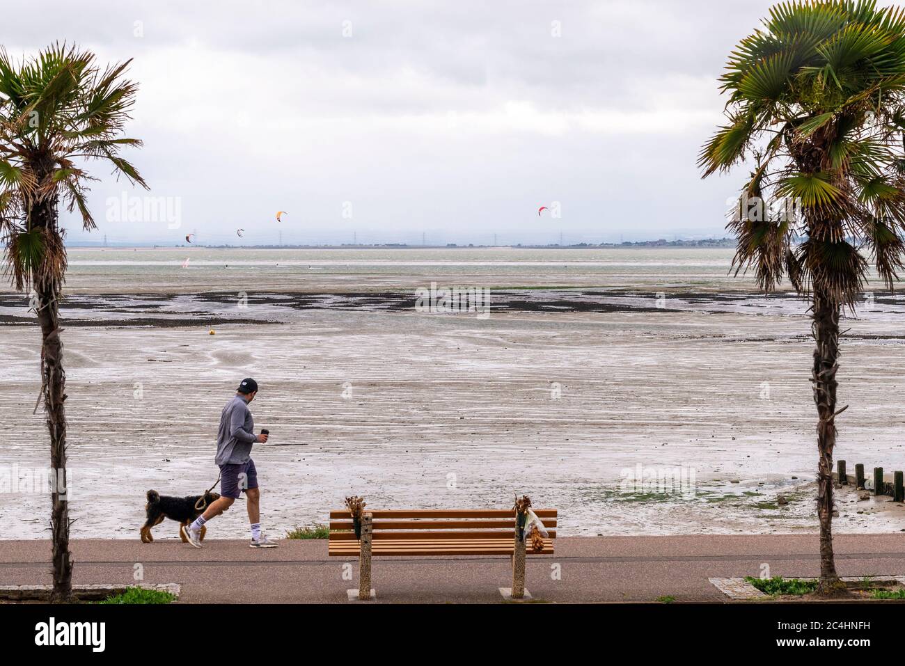 Walking the dog windy day hi-res stock photography and images - Alamy