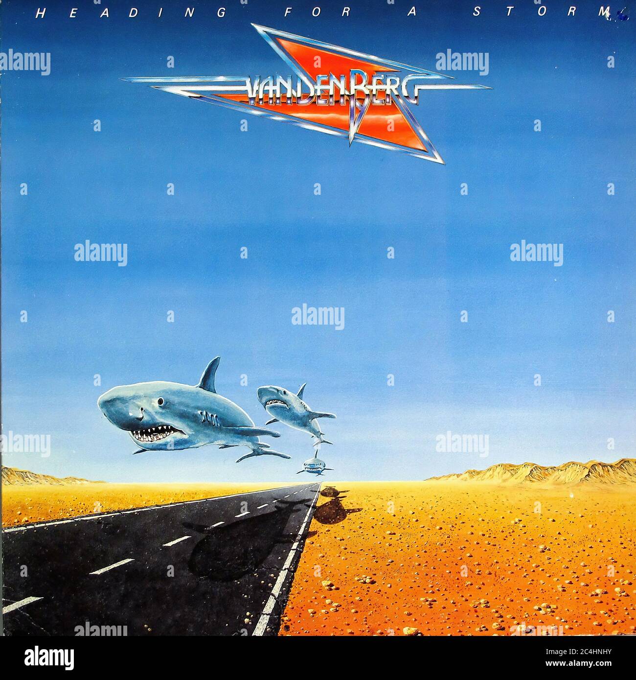 Vandenberg Heading for a Storm 12'' Lp Vinyl - Vintage Record Cover ...