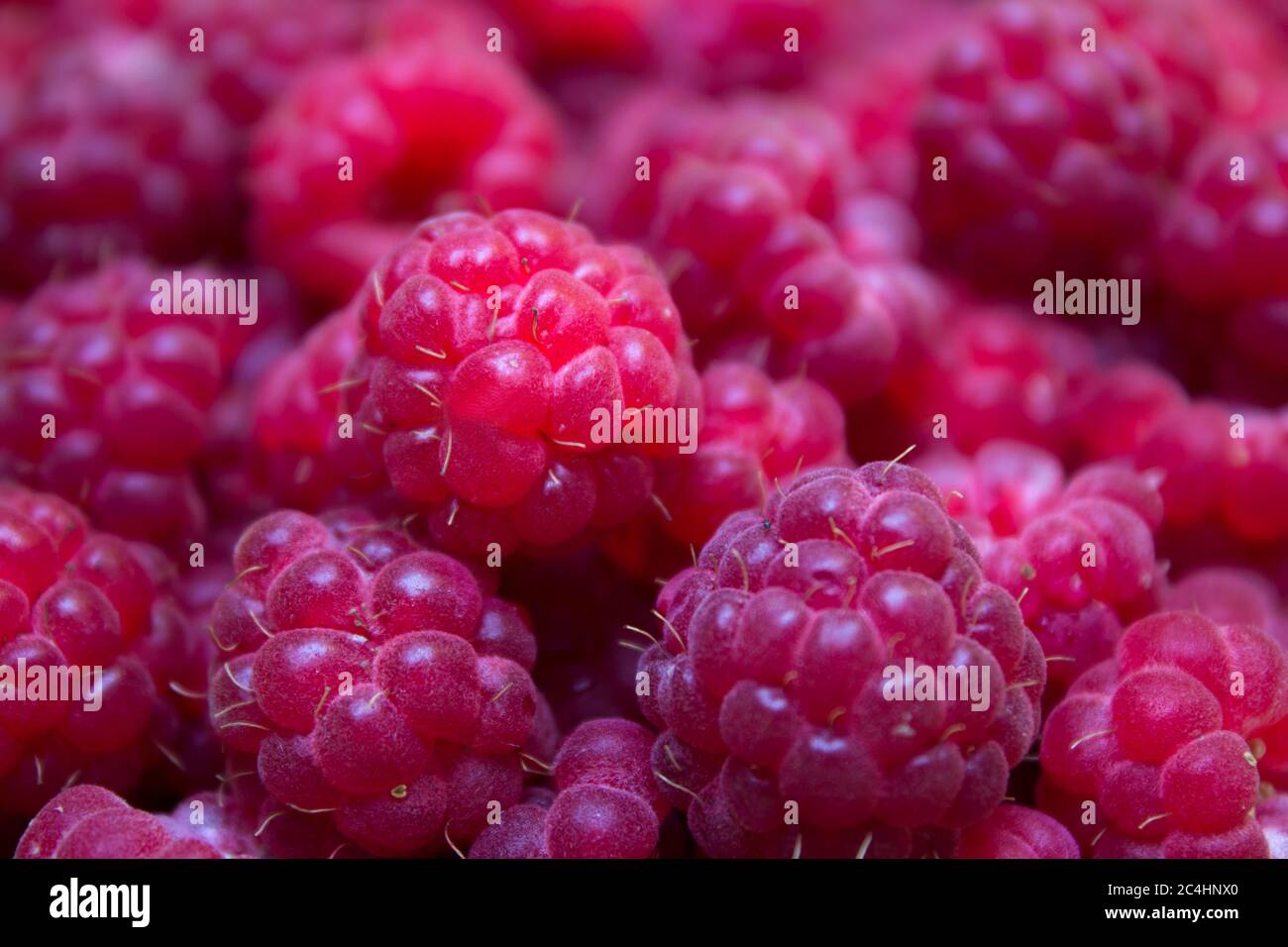 Berries texture hi-res stock photography and images - Alamy