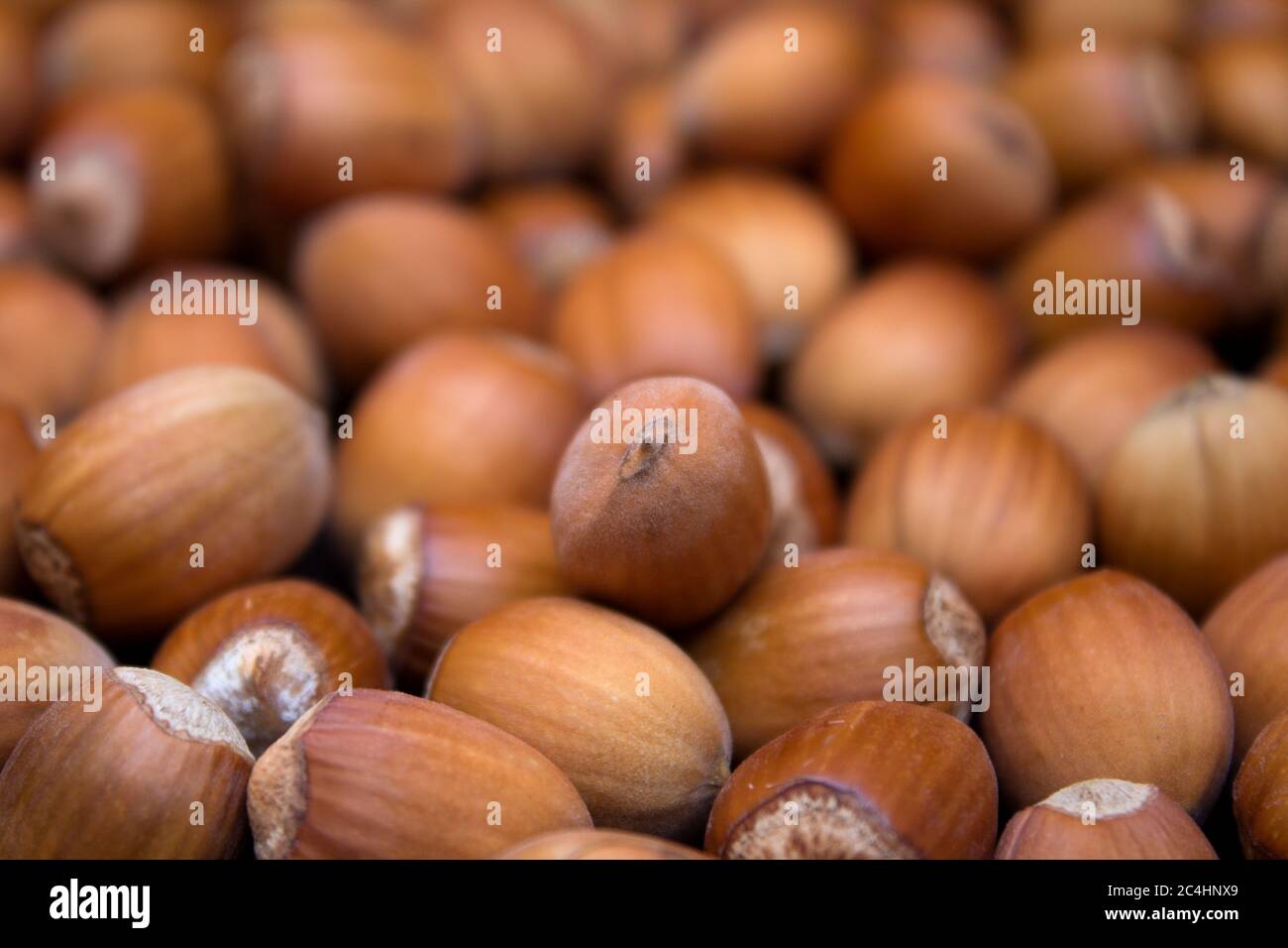 Many peeled hazel nuts - background and texture of nature Stock Photo ...