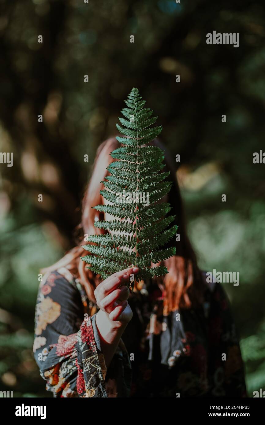 Woman holding fern leaf in front of face Stock Photo - Alamy
