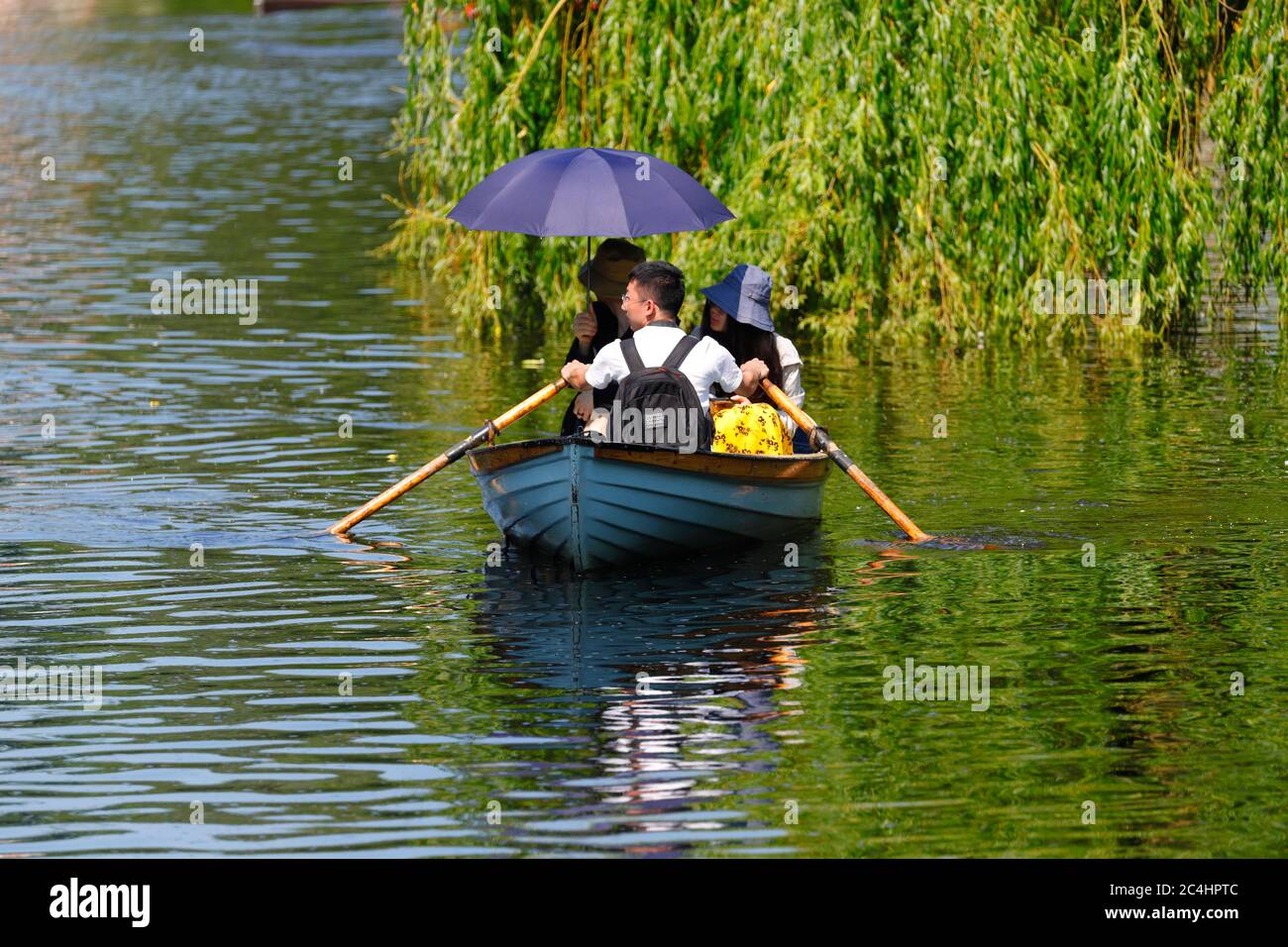 Marigolds rowing boats hi-res stock photography and images - Alamy