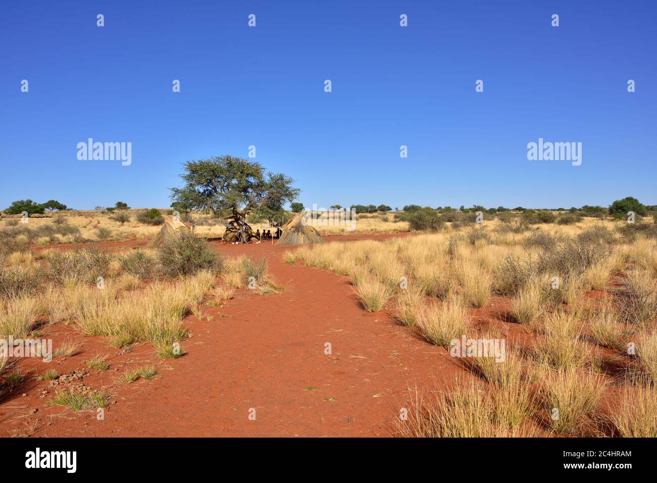 The beautiful Kalahari desert landscape with bushmen village on ...