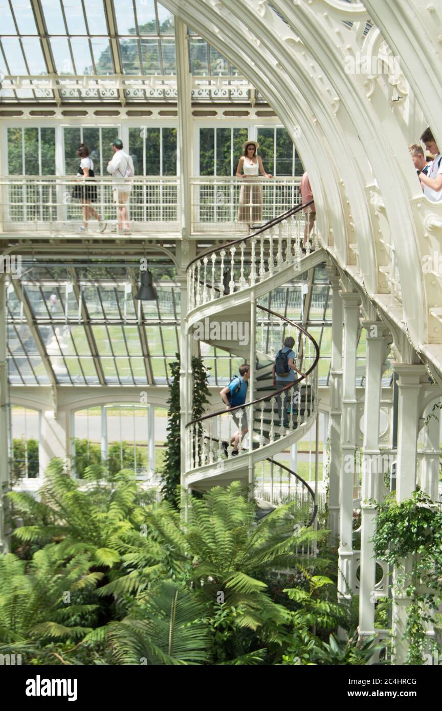 Inside the Temperate House, Kew Gardens, England Stock Photo - Alamy