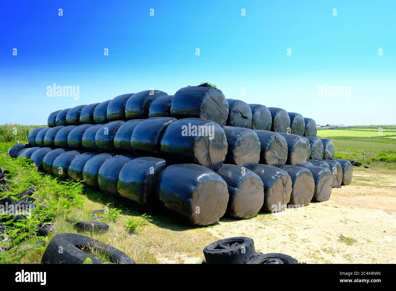 Stack of black plastic silage bales, Cornwall, UK - John Gollop Stock ...