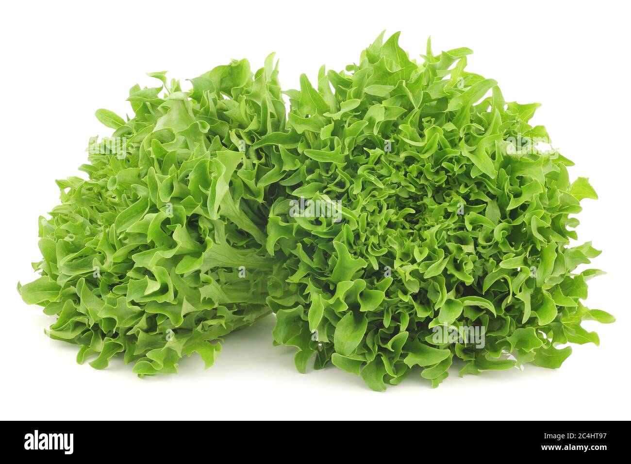 Curly lettuce hi-res stock photography and images - Alamy