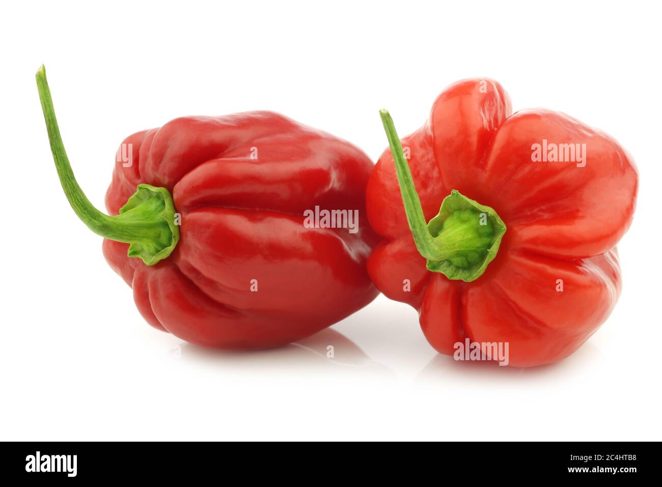 spicy hot red adjuma peppers on a white background Stock Photo - Alamy