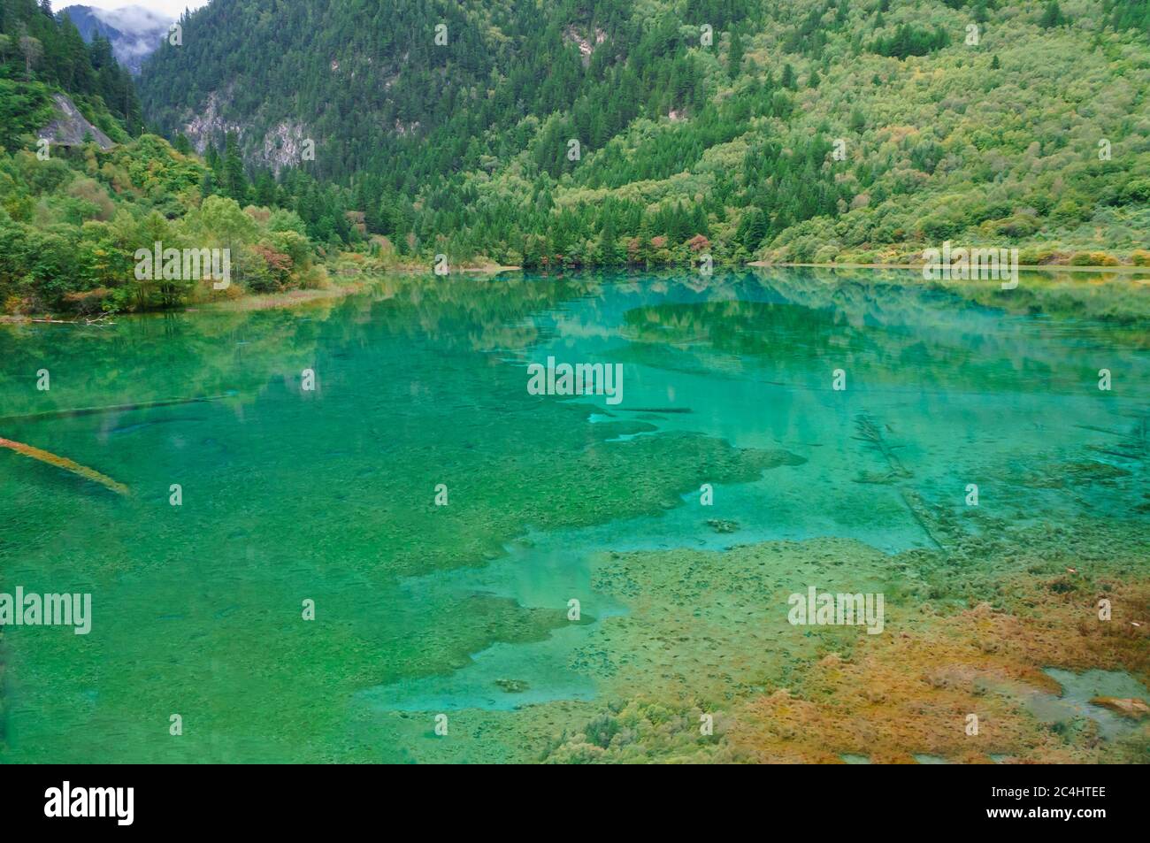 Beautiful and fresh scenery landscape in the valley with mountains view ...