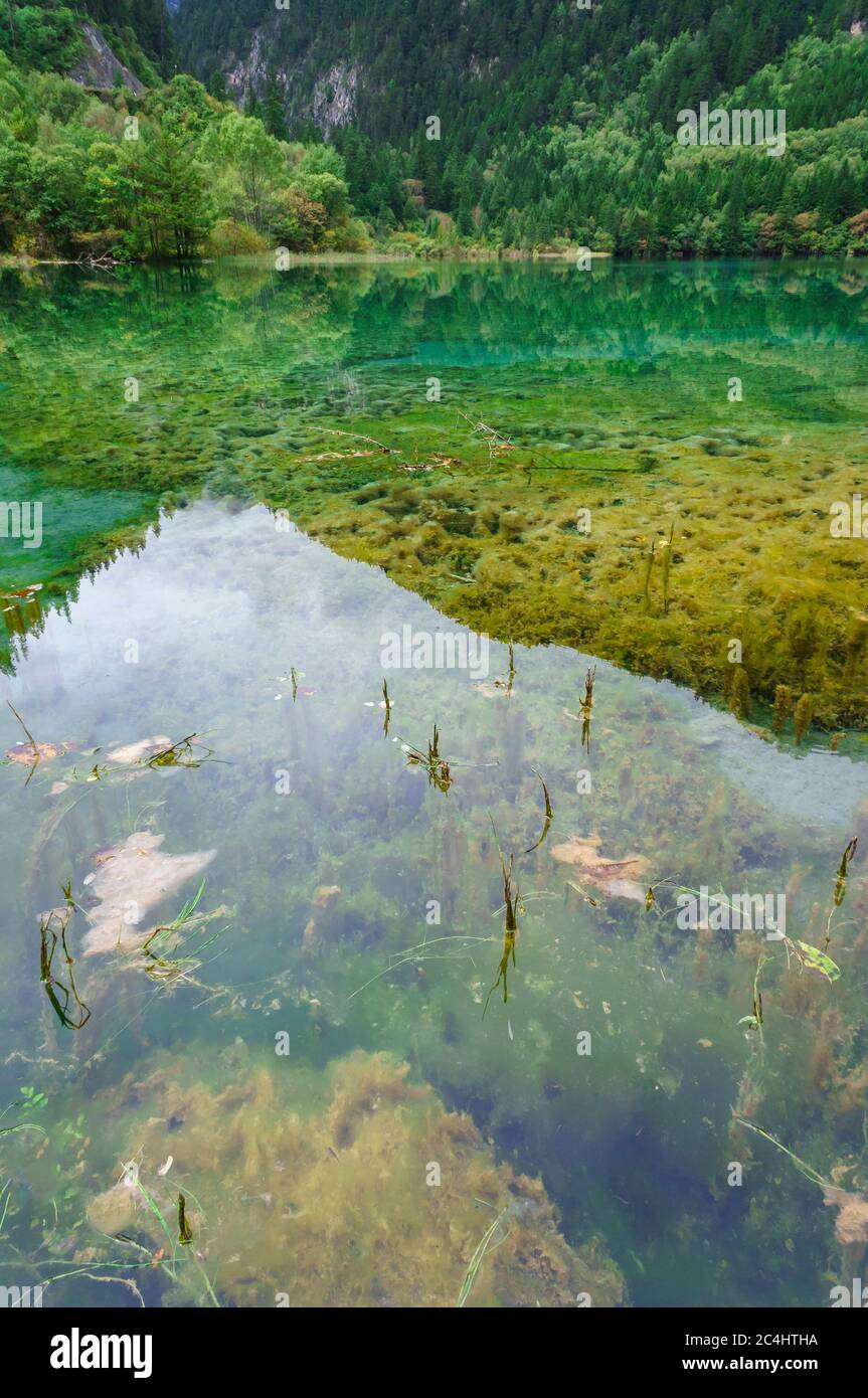 Beautiful and fresh scenery landscape in the valley with mountains view ...