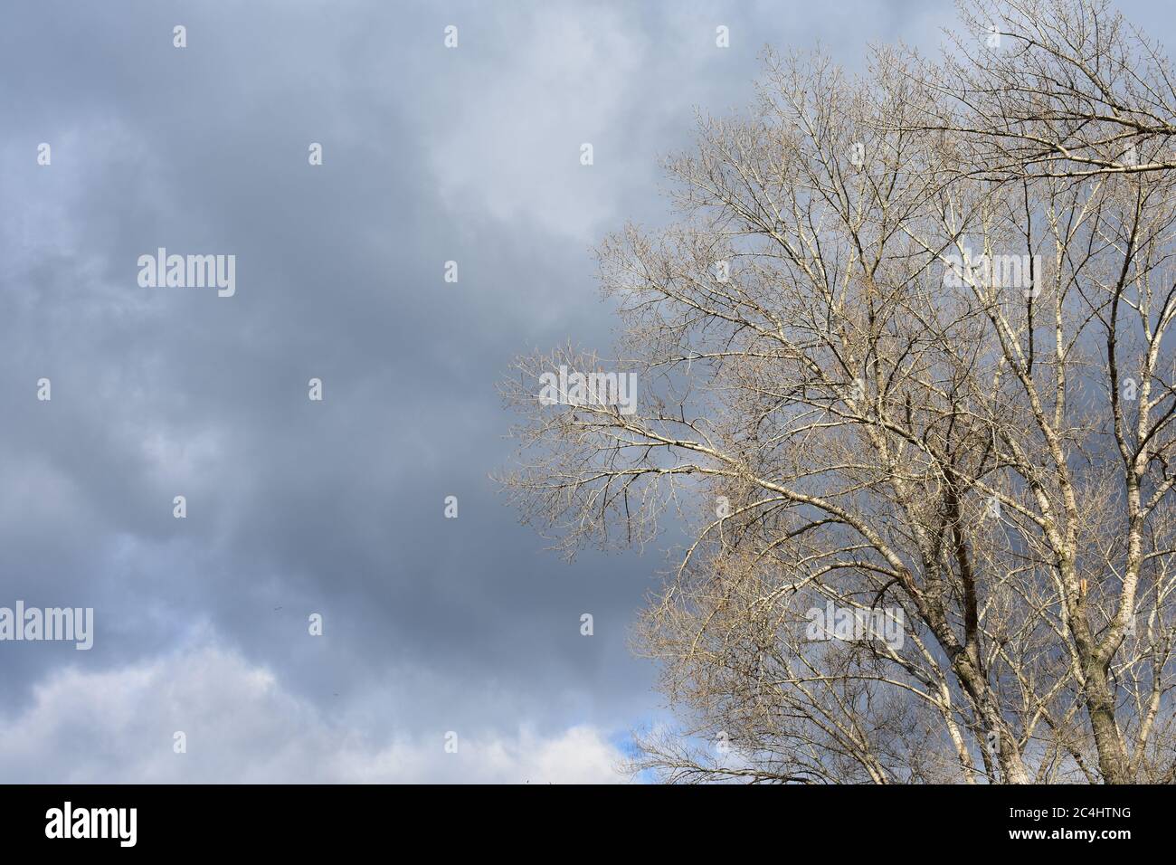 Cloudy and windy hi-res stock photography and images - Alamy
