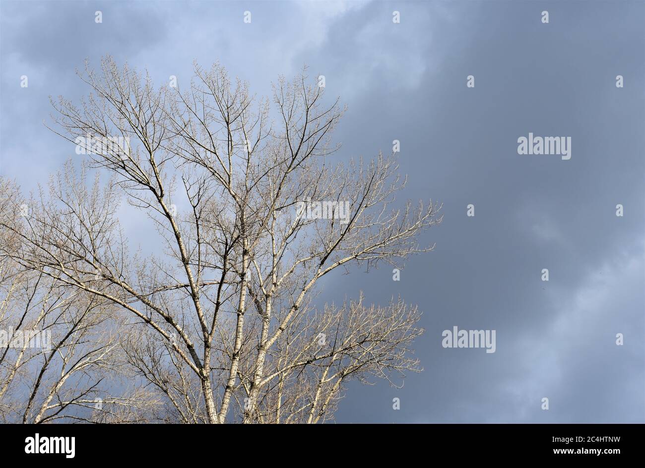 Cloudy and windy hi-res stock photography and images - Alamy