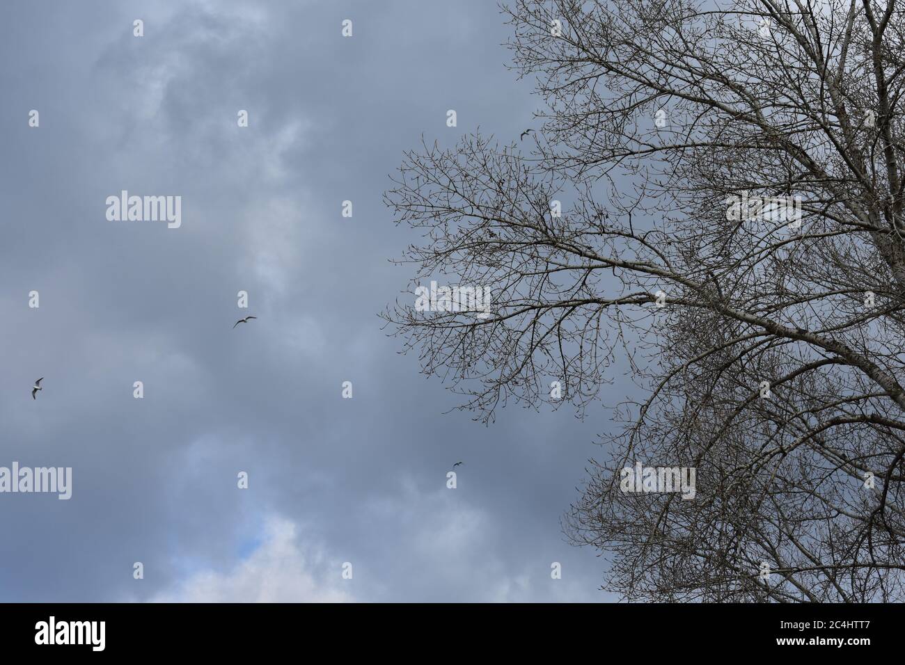 Cloudy windy hi-res stock photography and images - Alamy