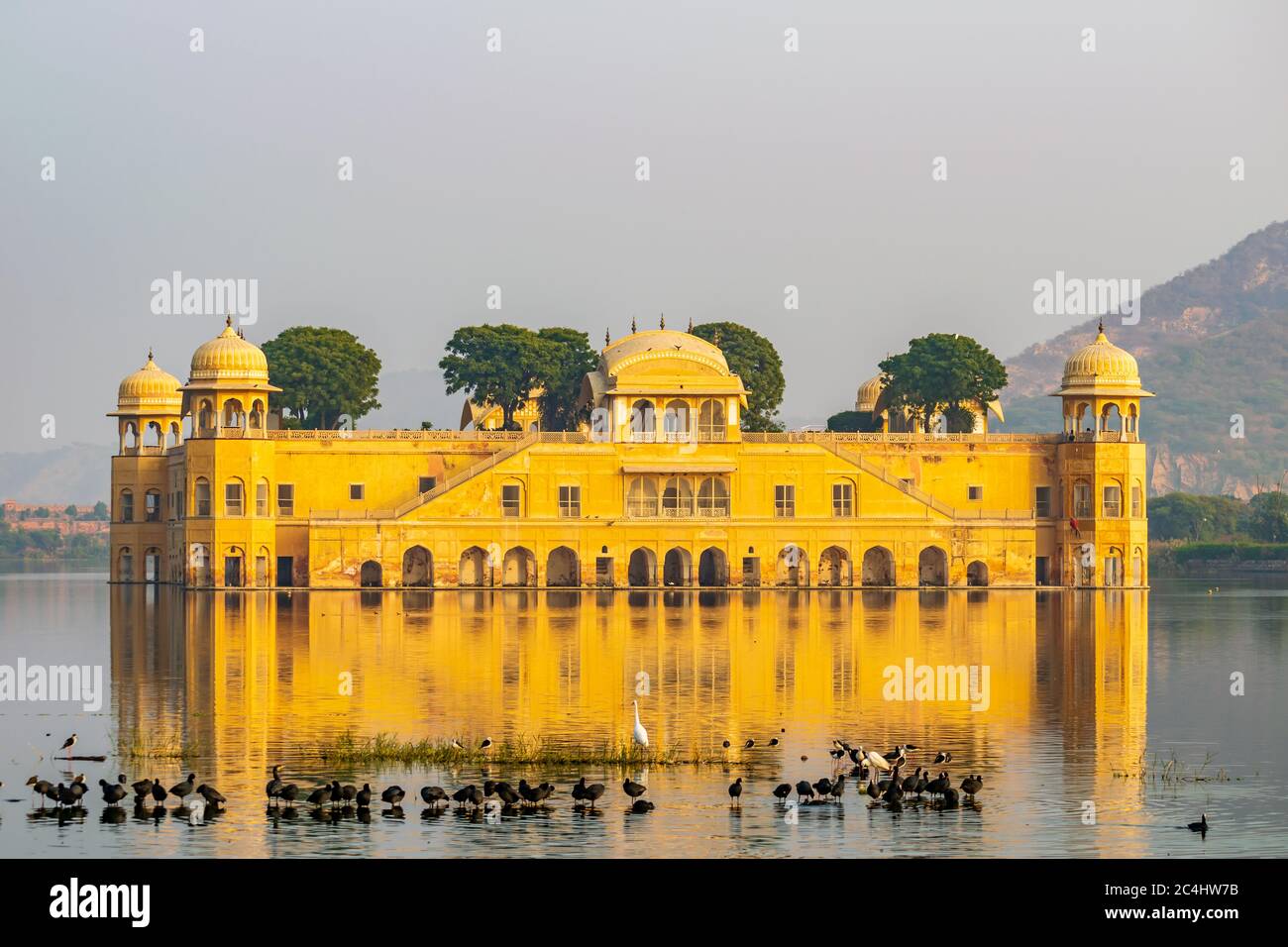 The view of Jal Mahal with birds swimming in the front, Jaipur ...