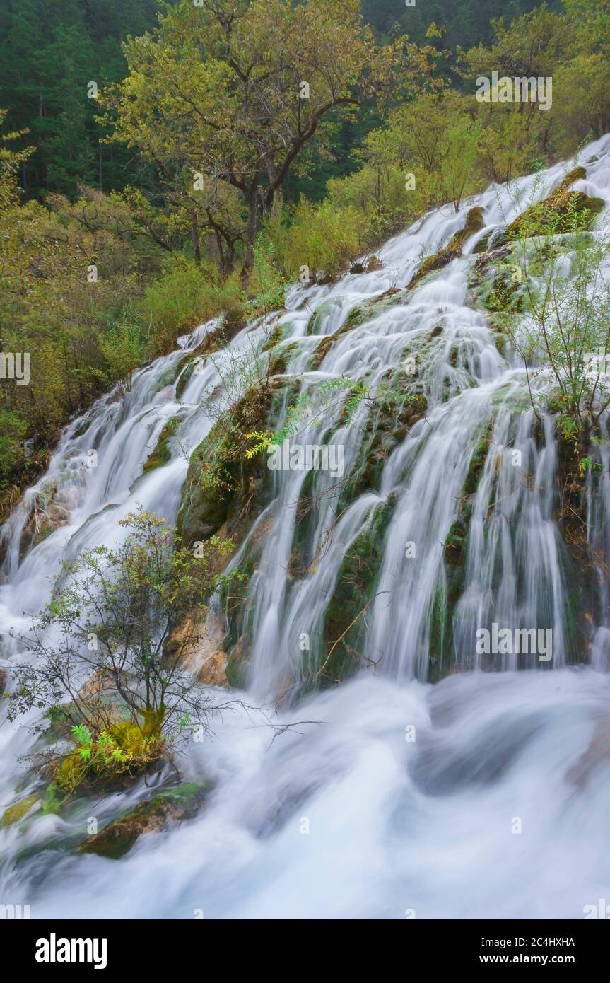 Beautiful and fresh scenery landscape in the valley with mountains view ...