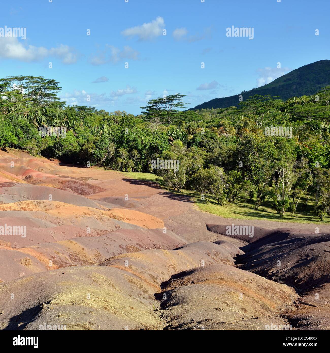 Main sight of Mauritius island. Unusual volcanic formation seven ...