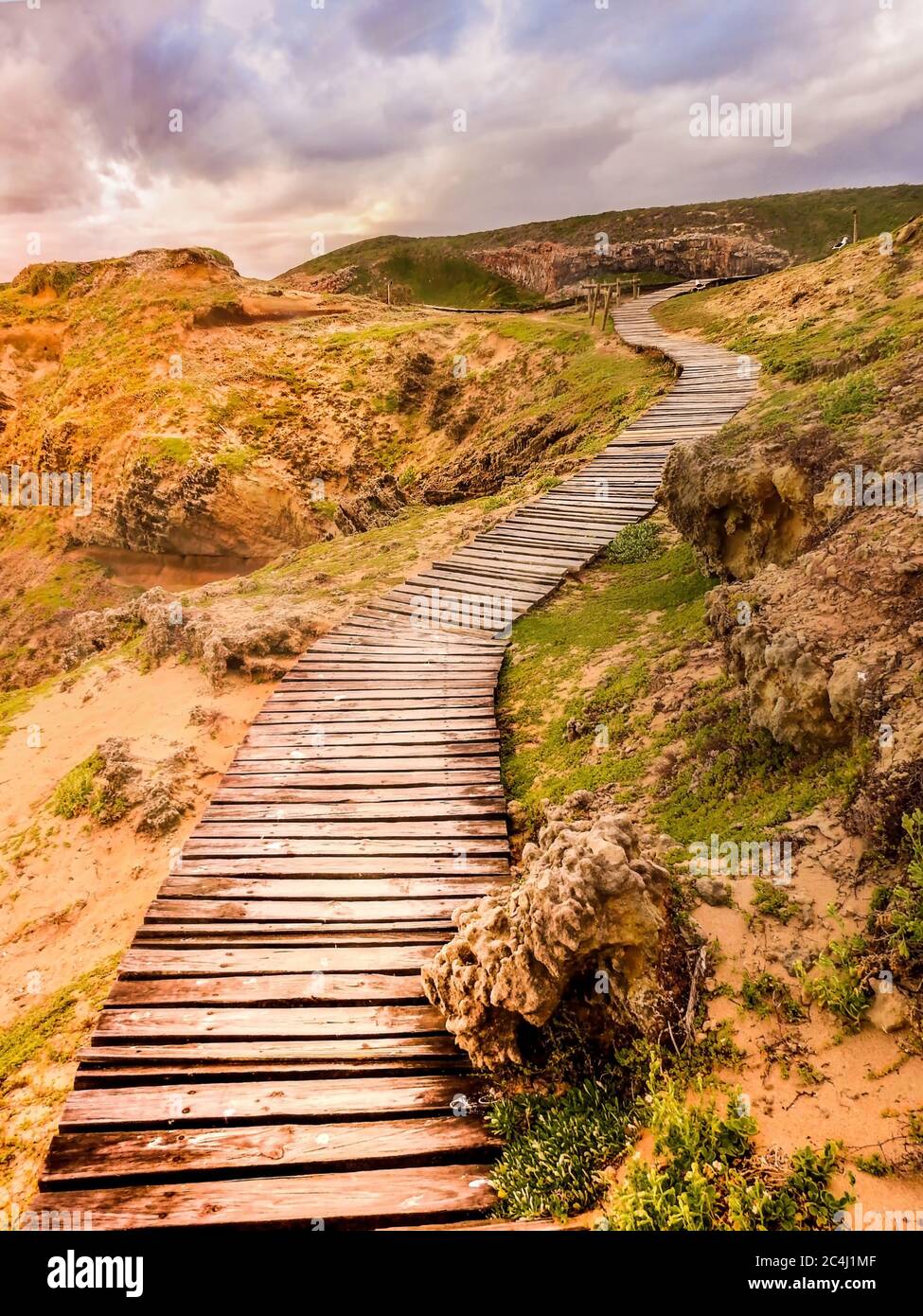 Walking alone in the wilderness from the storm to the serenity Stock ...