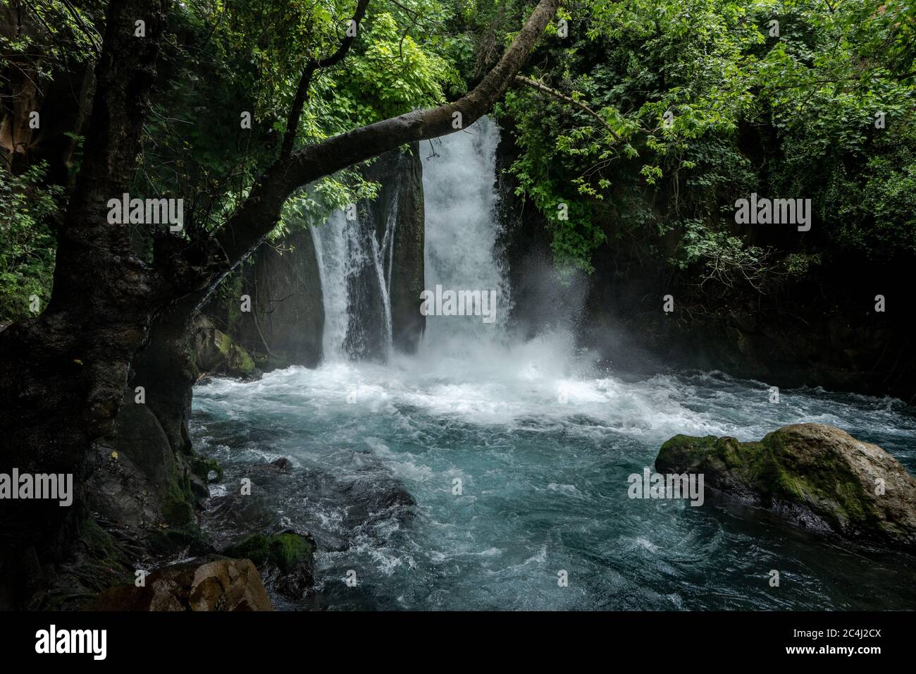 Northern streams in israel hi-res stock photography and images - Alamy