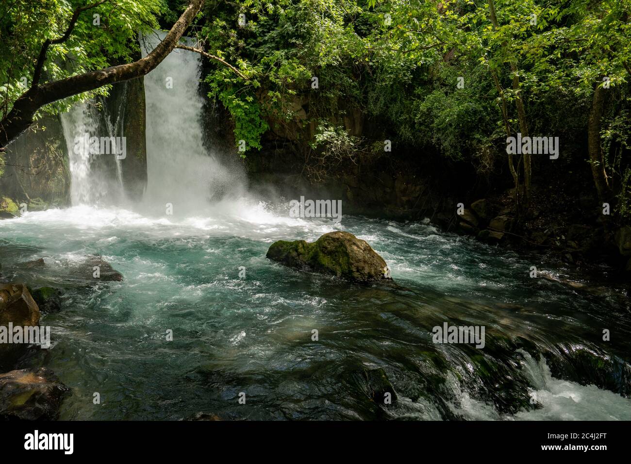Hermon Stream - Banias Stream- ahal Hermon also known as Nahal Banias ...