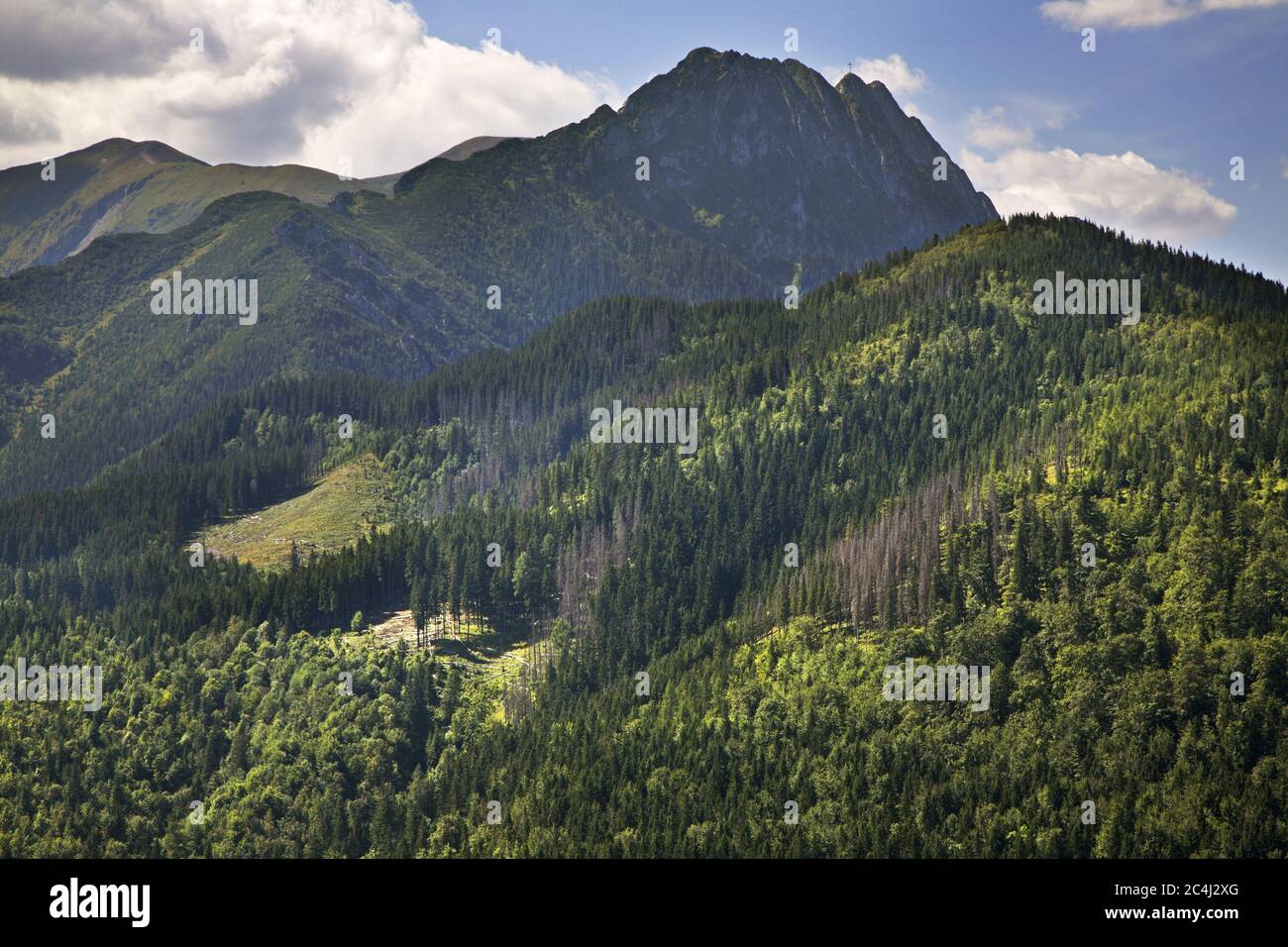 View of High Tatras mountains near Zakopane. Poland Stock Photo - Alamy
