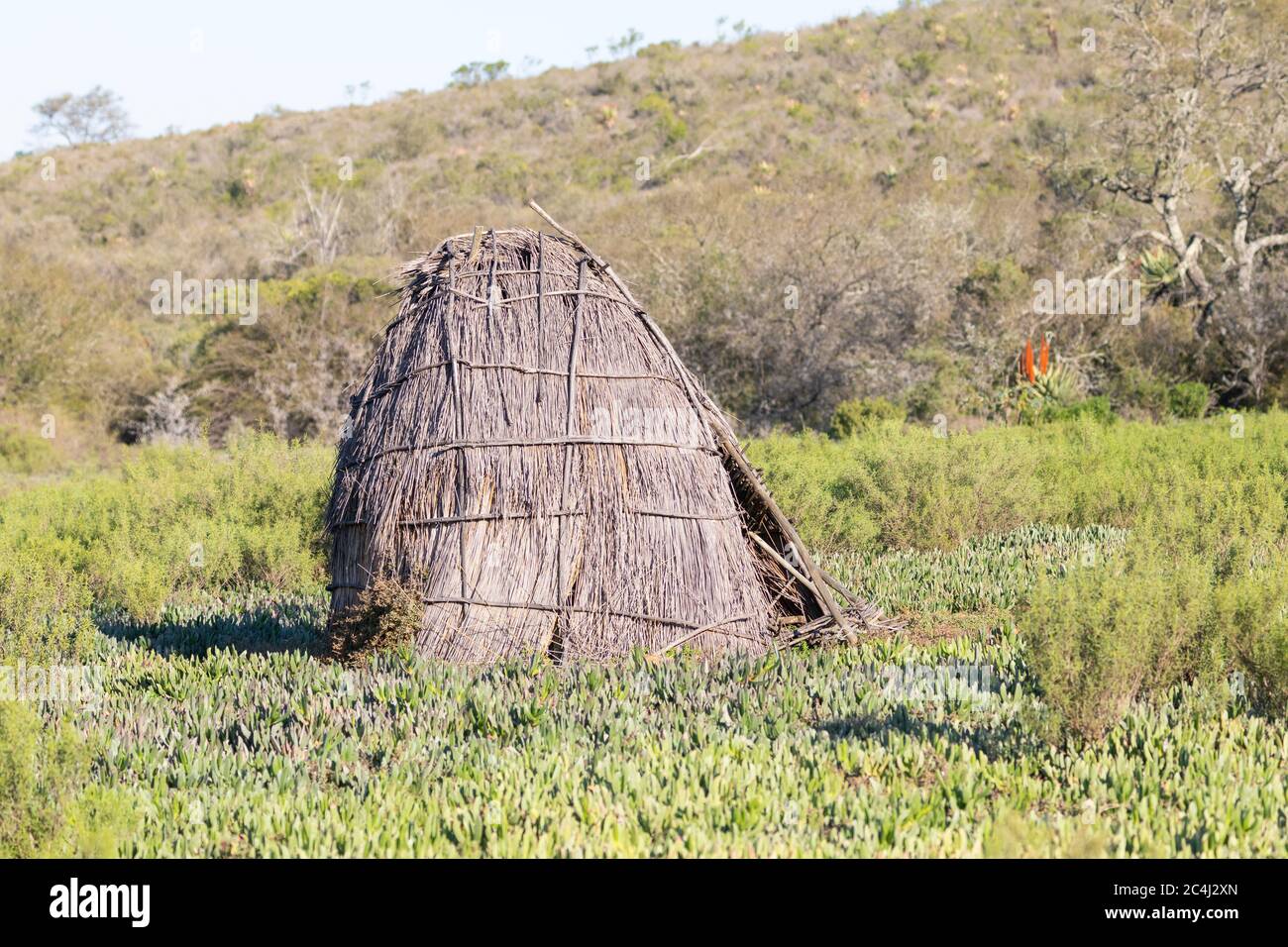 Khoi khoi south africa hi-res stock photography and images - Alamy