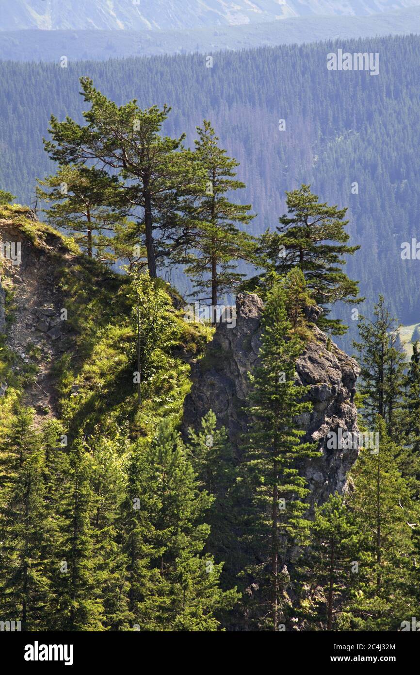Nosal mountain in Kuznice near Zakopane. Poland Stock Photo - Alamy