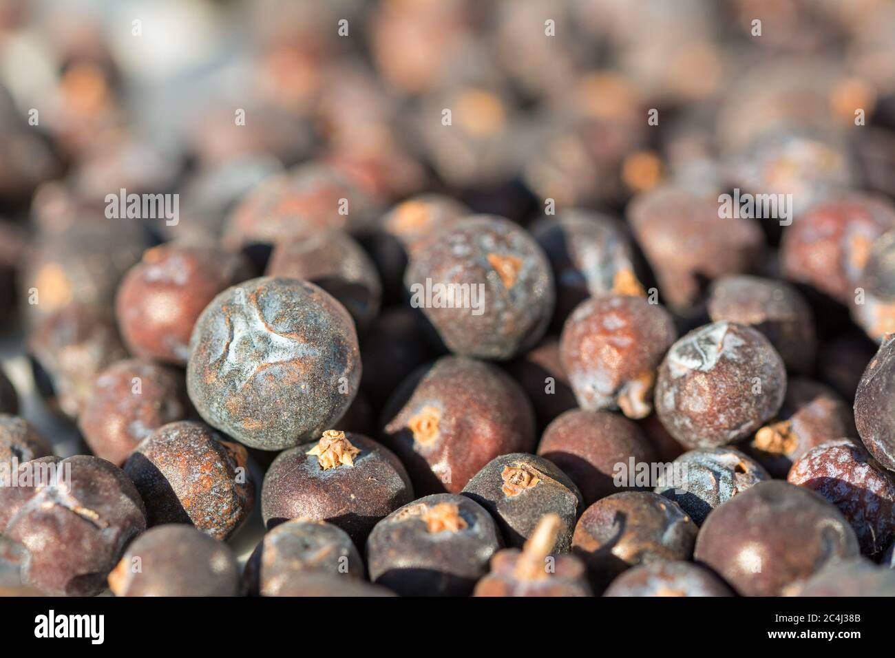 Juniper texture hi-res stock photography and images - Alamy