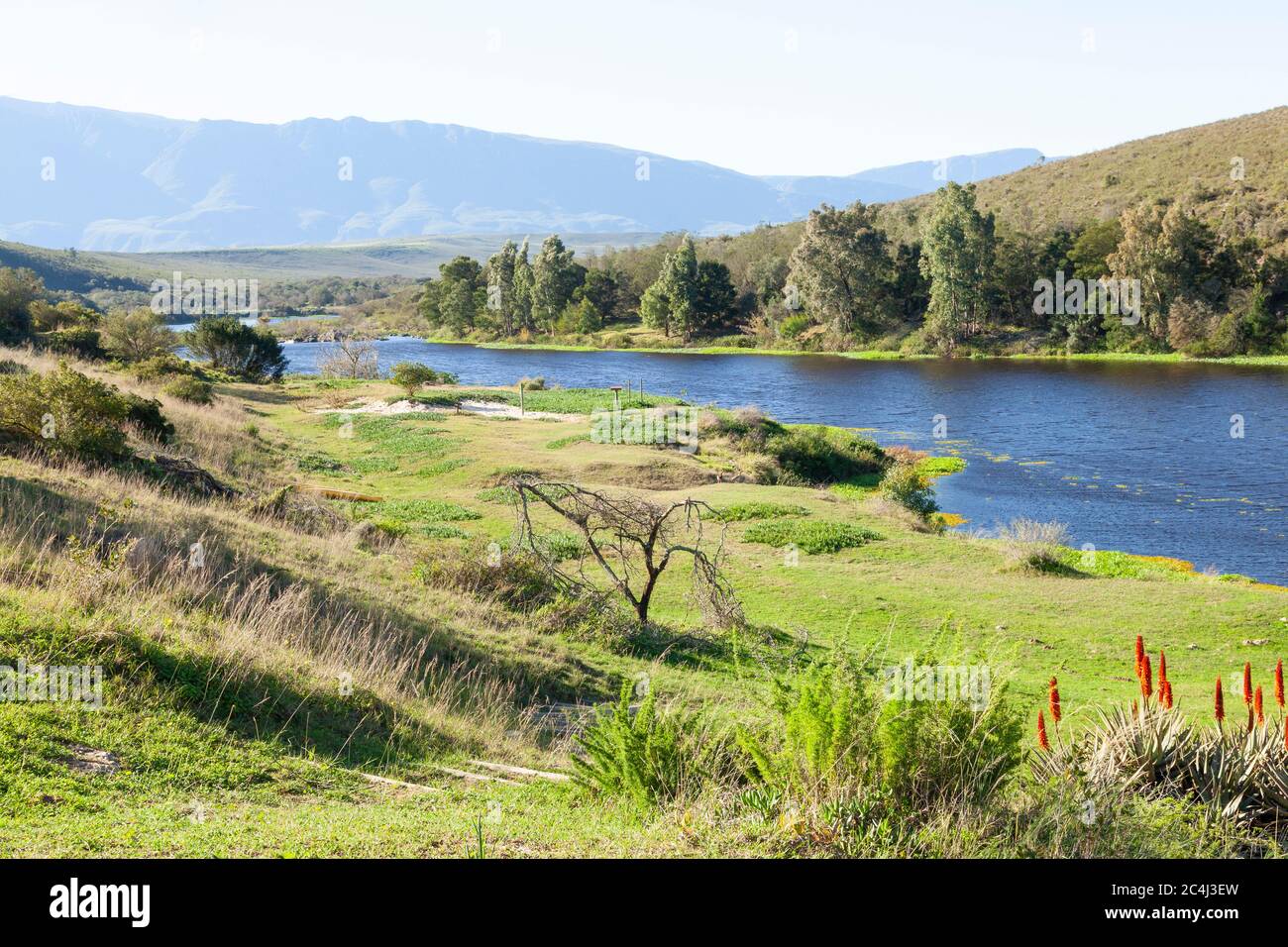 View down the Breede River in the Bontebok National Park, Swellendam ...