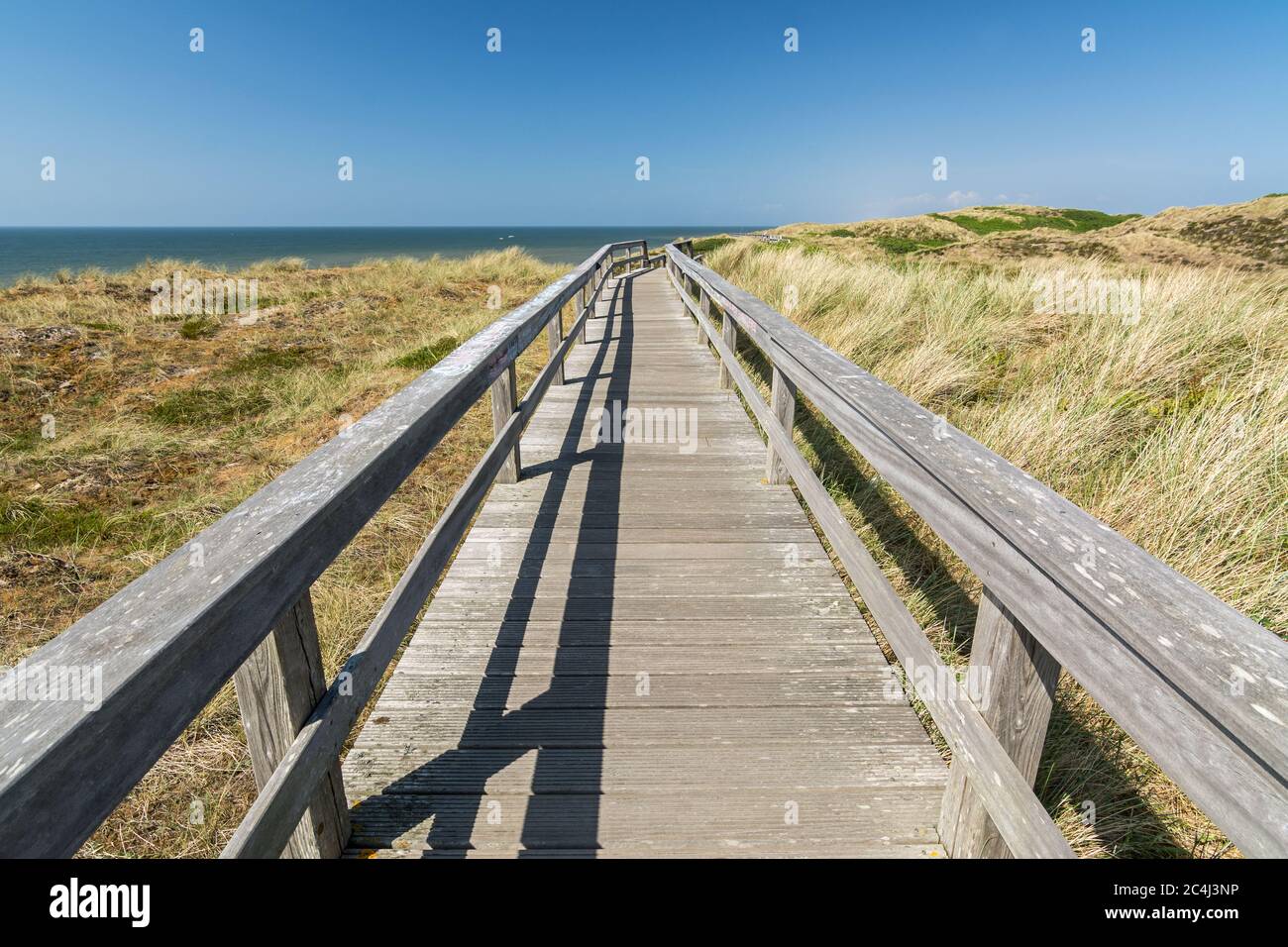 Wooden footpath through the dunes leading towards the ocean on the ...