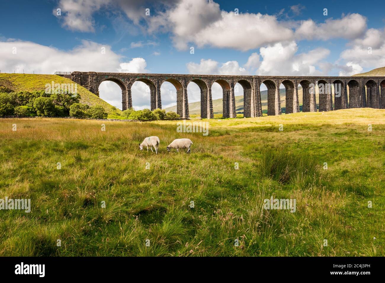 Roman aqueduct britain hi-res stock photography and images - Alamy