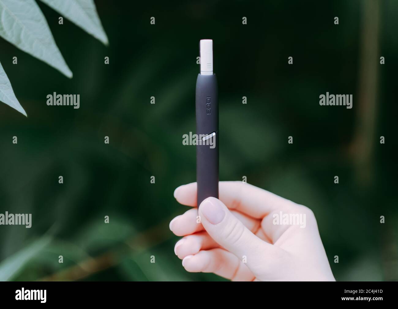Heating tobacco system IQOS on summer background Stock Photo - Alamy