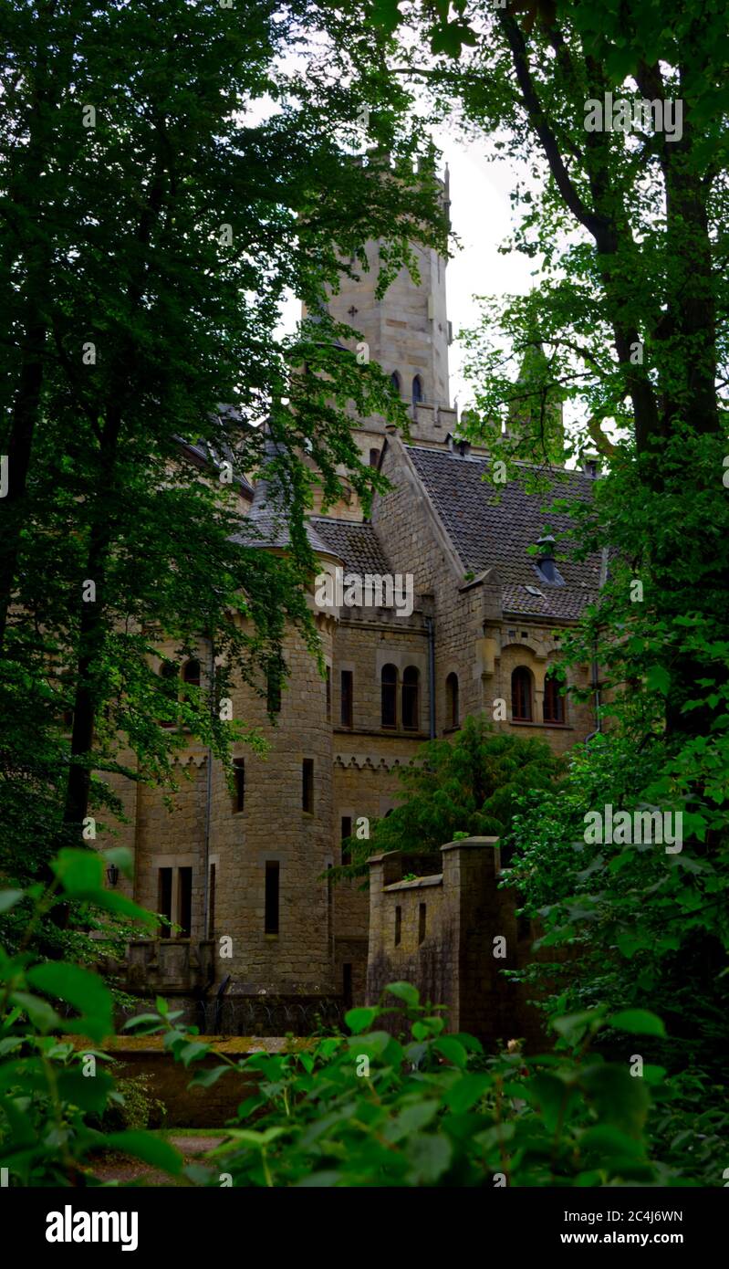 Beautiful castle in the forest Stock Photo - Alamy