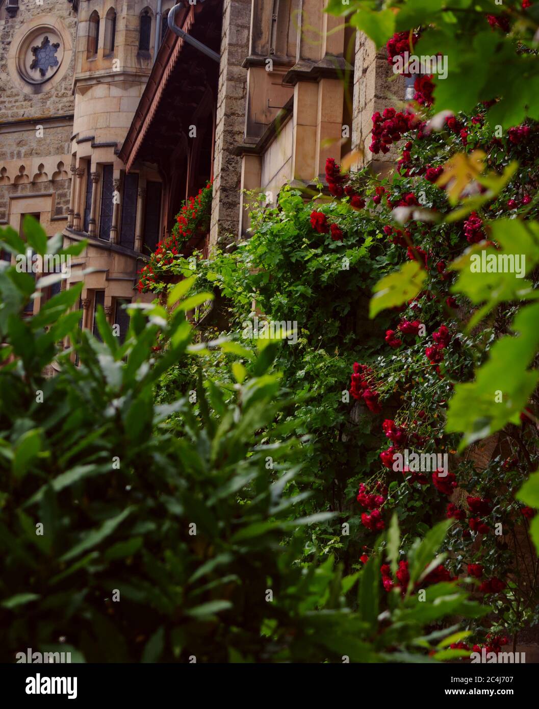 Beautiful castle in the forest Stock Photo - Alamy