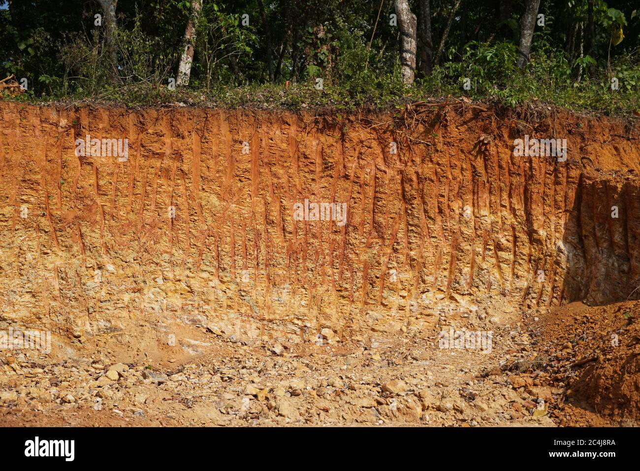 Definition Of Red And Yellow Soil at Karen Batey blog