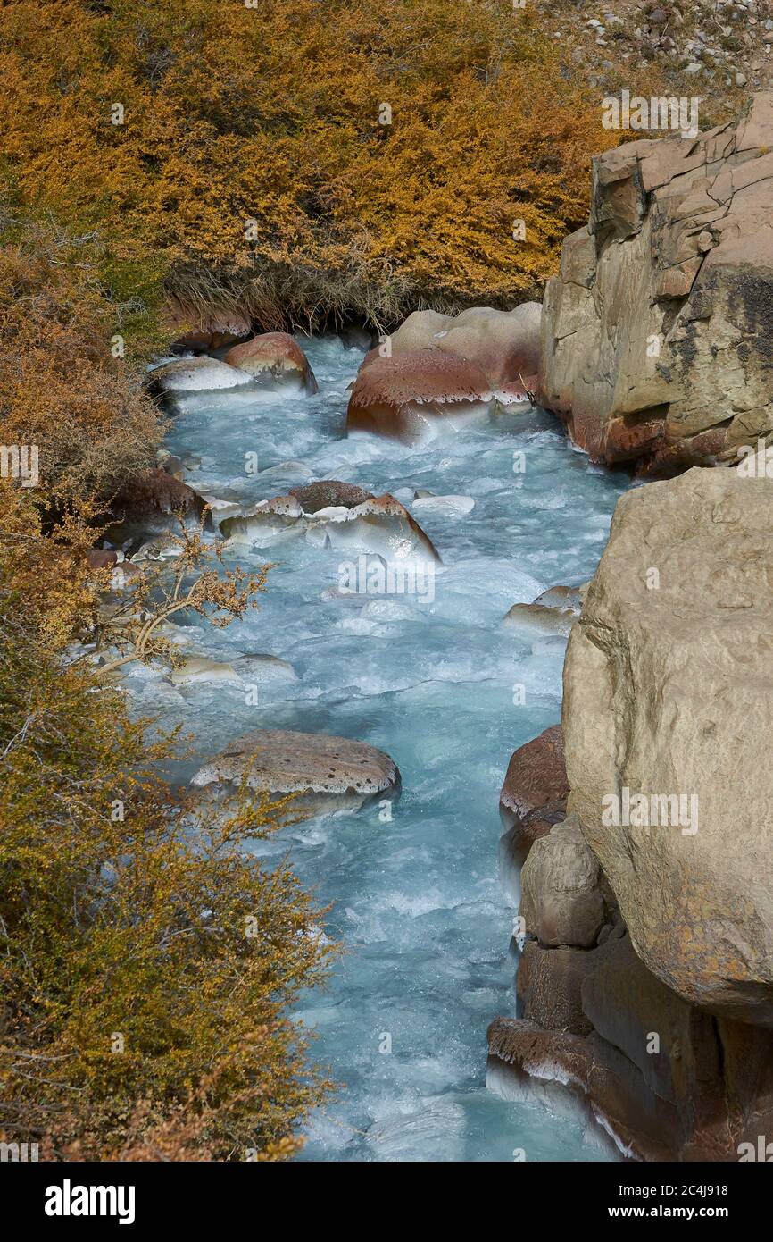 Ice cold river from the Paloma glacier running through autumn coloured ...