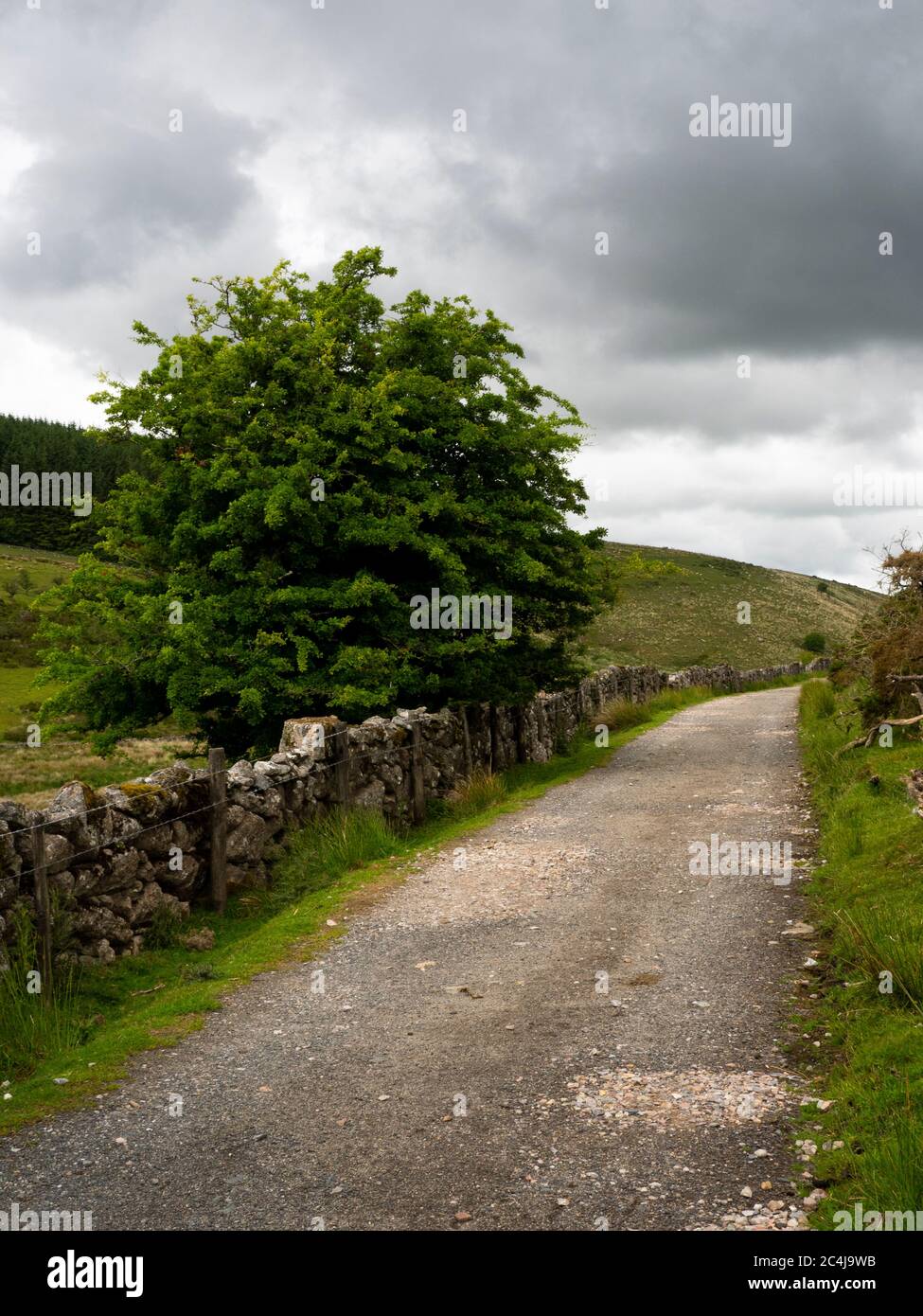 Small narrow road hi-res stock photography and images - Alamy