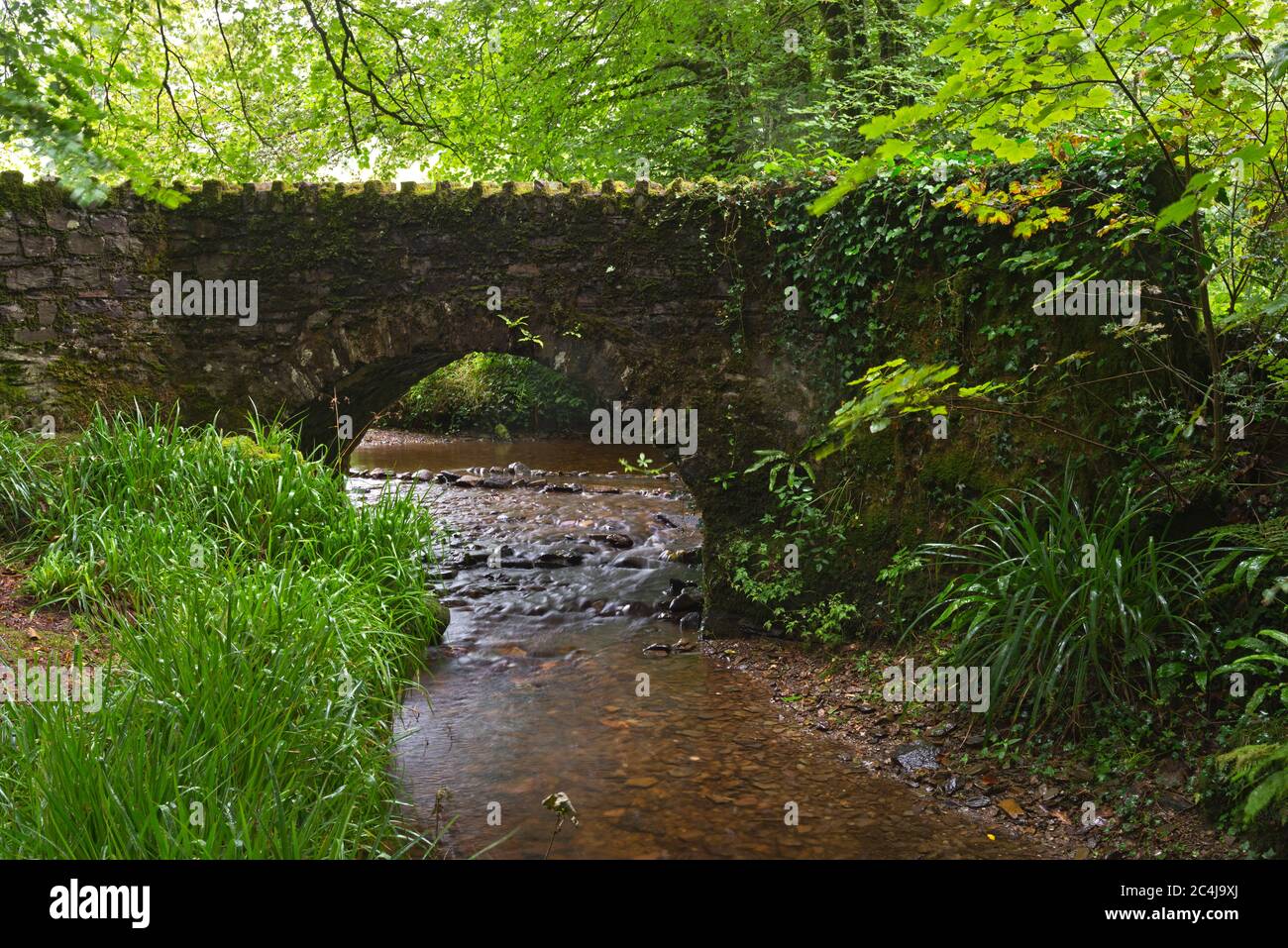 Packhorse bridge next to the River Barle at Marsh Bridge, just North of ...