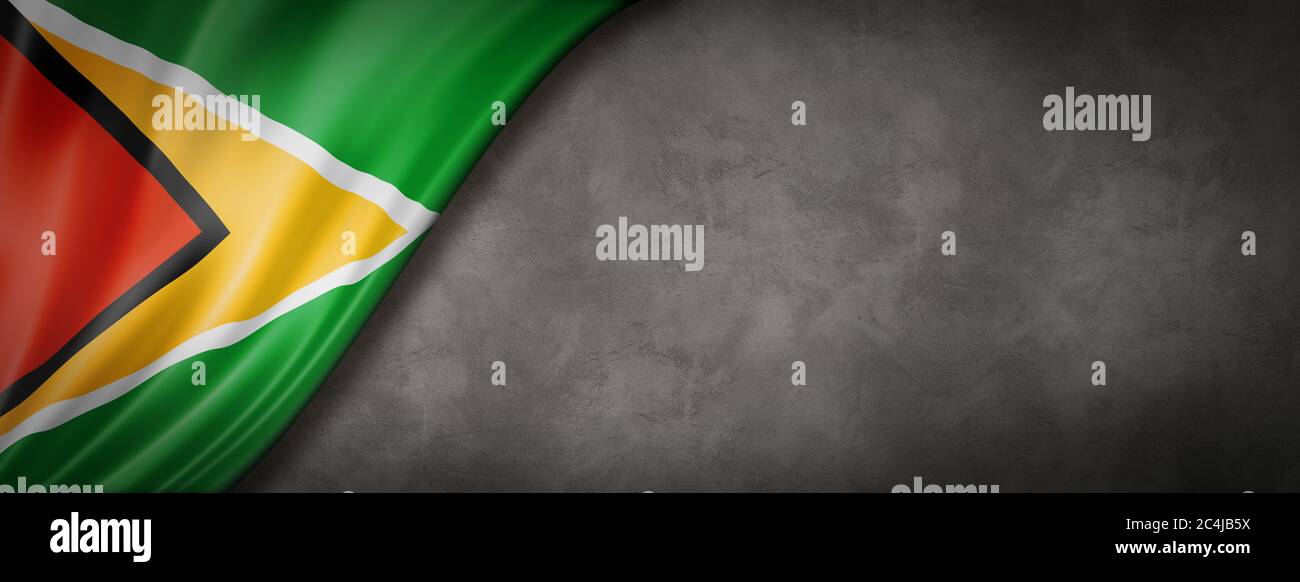 Guyana flag on concrete wall. Horizontal panoramic banner. 3D ...