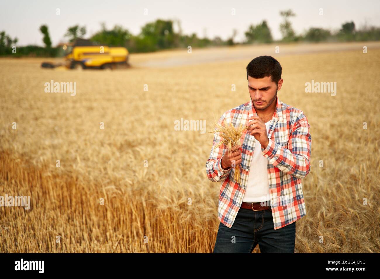 Farmer sitting wheat field harvest hi-res stock photography and images ...