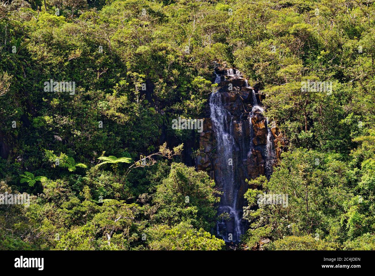 Scenic Alexandra falls in jungle of Mauritius island Stock Photo - Alamy