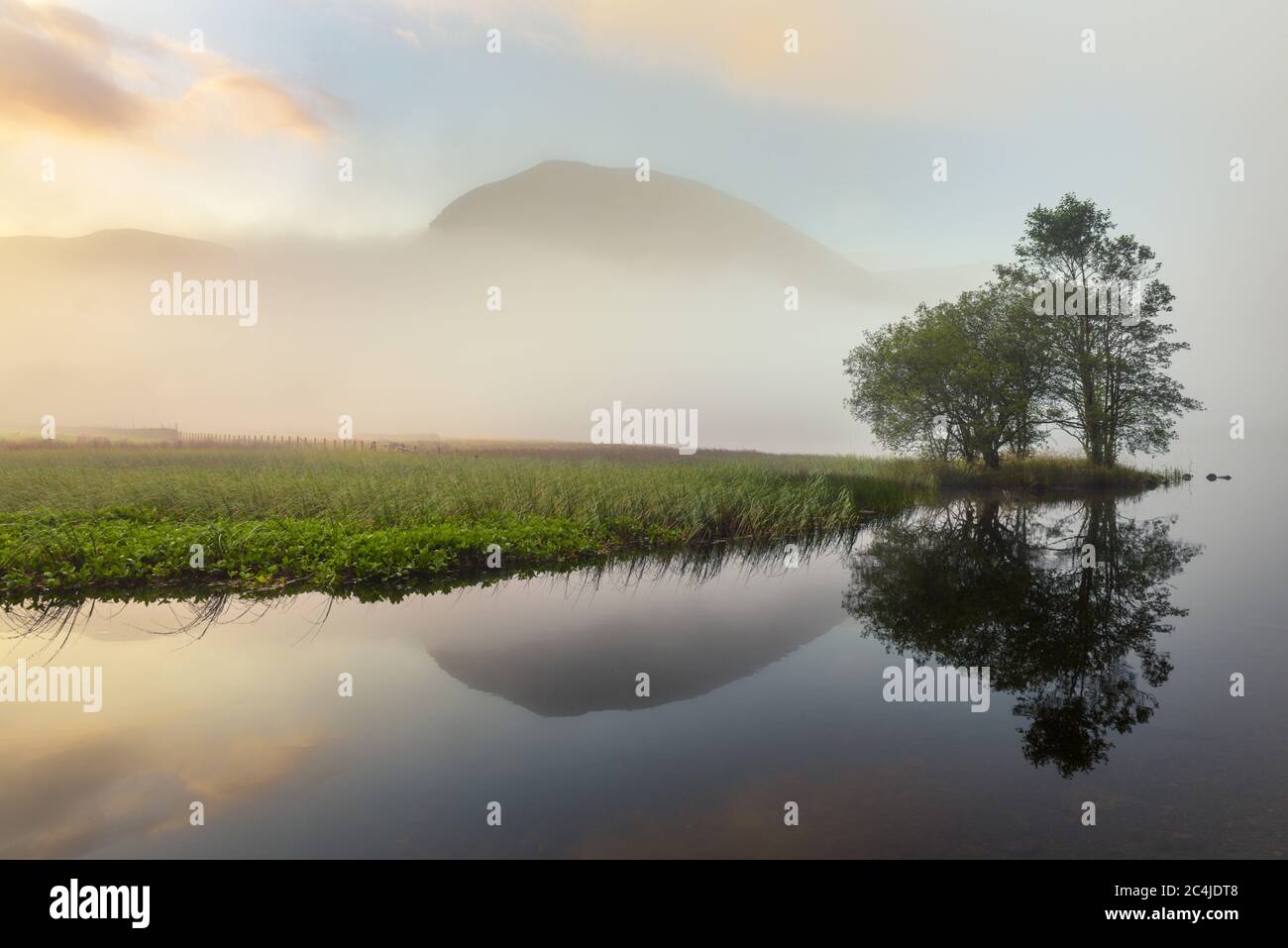 Group Of Trees By River On A Beautiful Misty Morning With Reflections ...