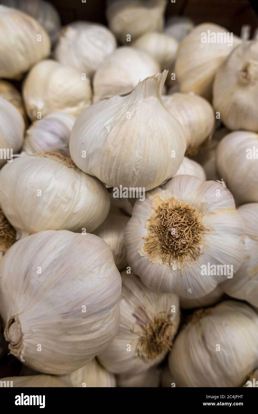 Garlic husks hi-res stock photography and images - Alamy
