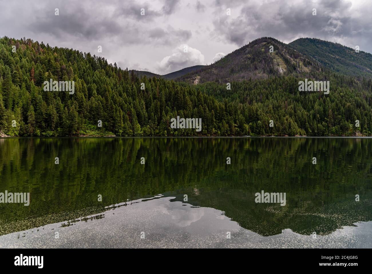 Sullivan Lake In The Colville National Forest Stock Photo - Alamy