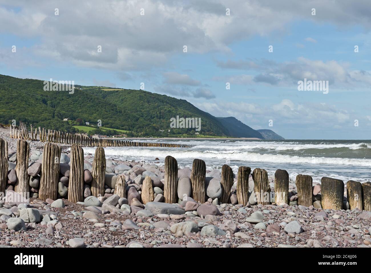 Old wooden groynes on Bossington Beach in Porlock Bay, Somerset ...