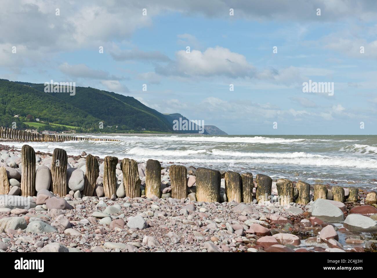 Old wooden groynes on Bossington Beach in Porlock Bay, Somerset ...