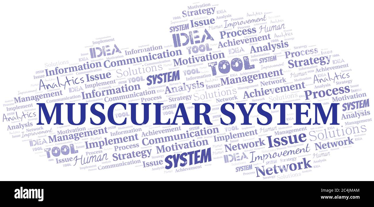 Muscular System typography vector word cloud. Wordcloud collage made ...