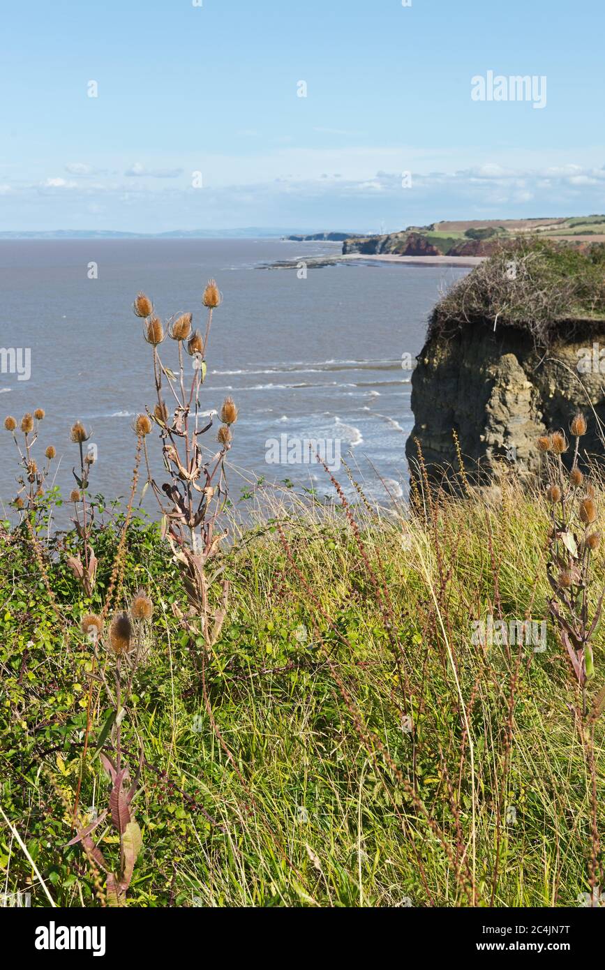 Hiking path across tops hi-res stock photography and images - Alamy