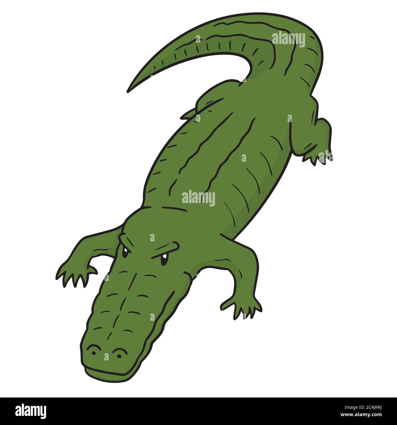 vector of crocodile Stock Vector Image & Art - Alamy