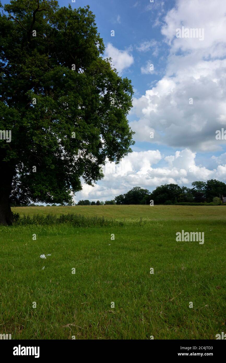 Tasburgh enclosure Hillfort Stock Photo - Alamy