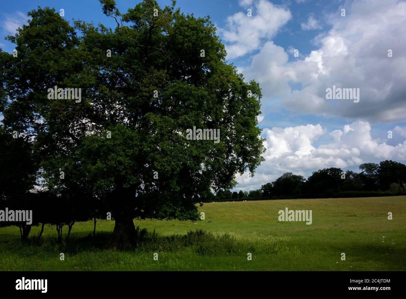 Tasburgh enclosure Hillfort Stock Photo - Alamy